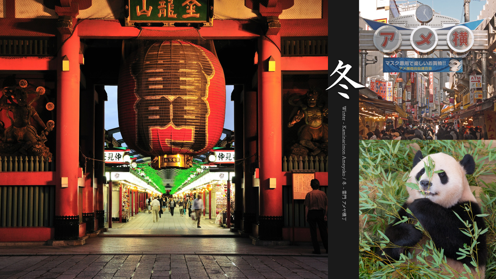 dots. tokyo | a family-friendly hotel in Ueno and Asakusa area | GLP